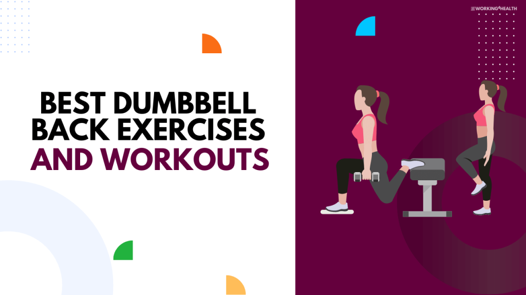 15 Dumbbell Back Exercises And Workouts - Working for Health