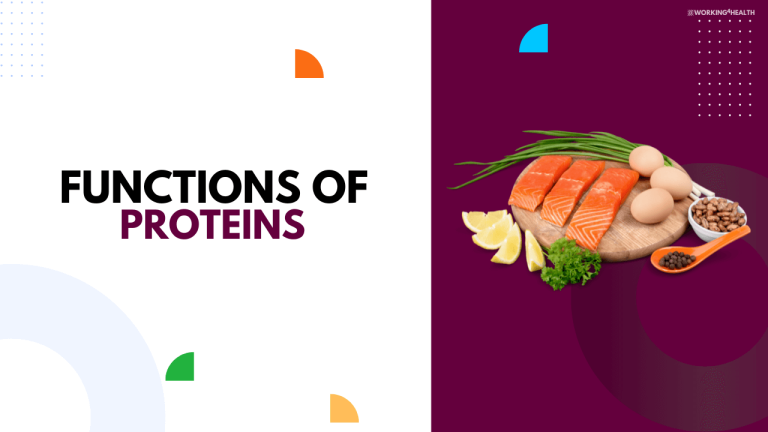 8 Functions Of Protein - Working for Health